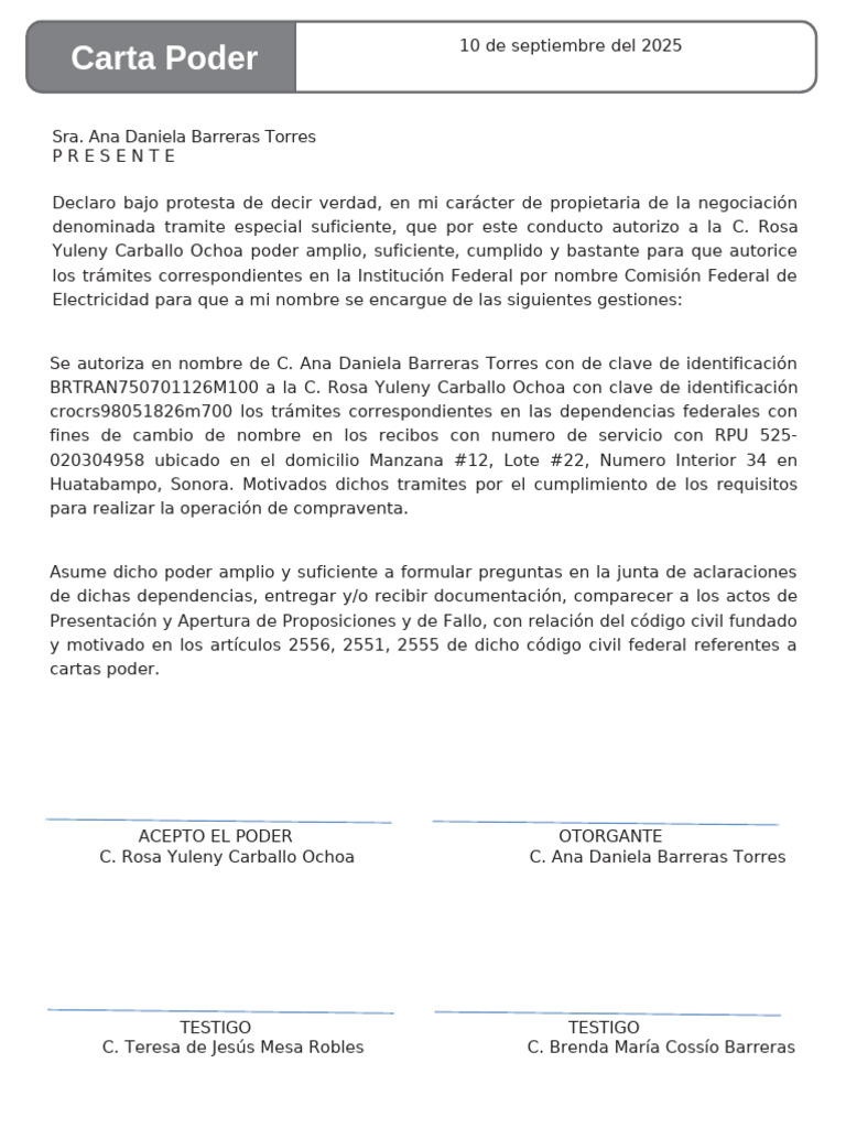 Carta Poder Especial Amplio y Suficiente | PDF