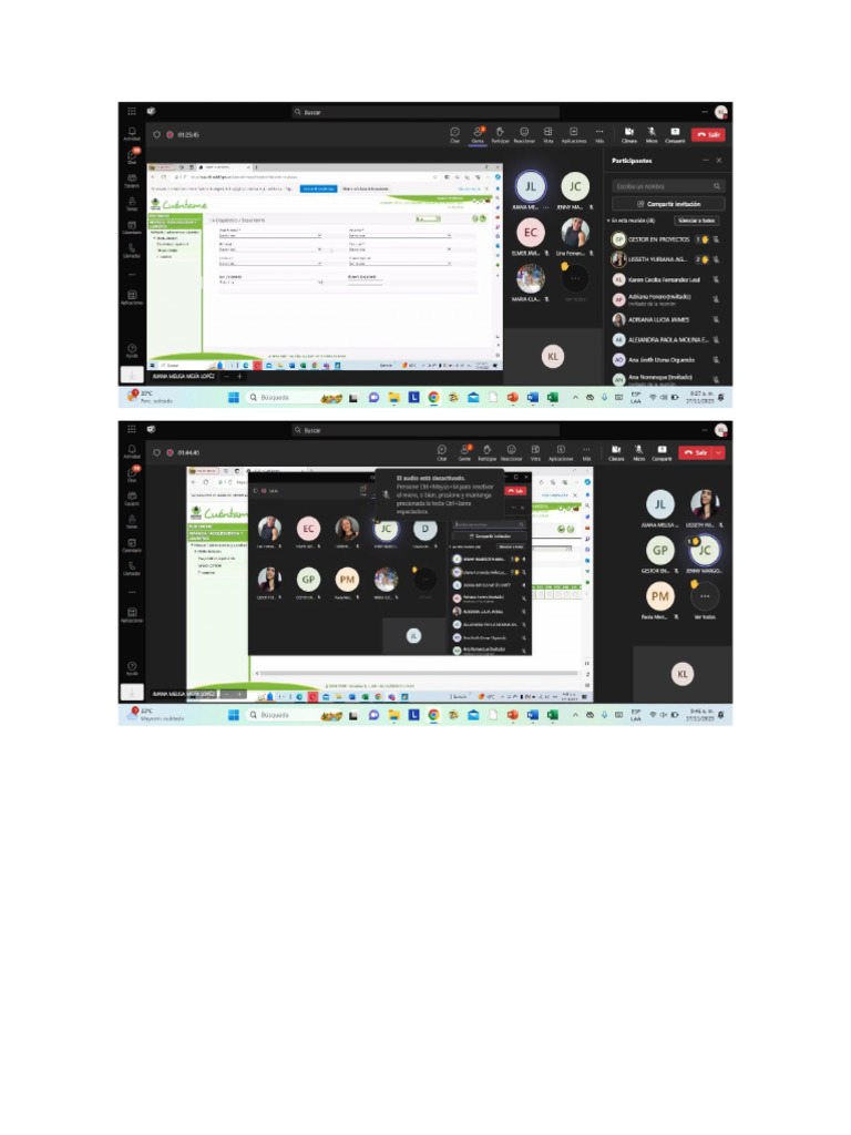Capture 17 Nov Cuentame | PDF