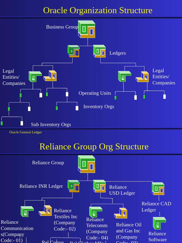 Reliance Group Structure | PDF