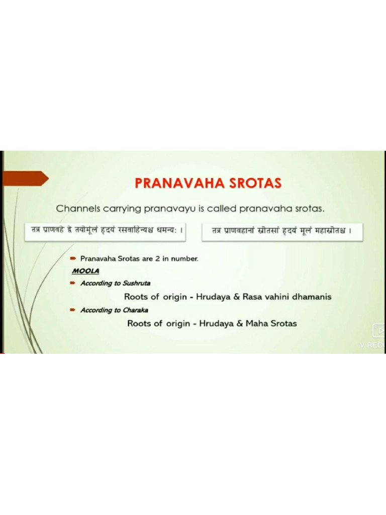 Srotas Presentation Overview | PDF