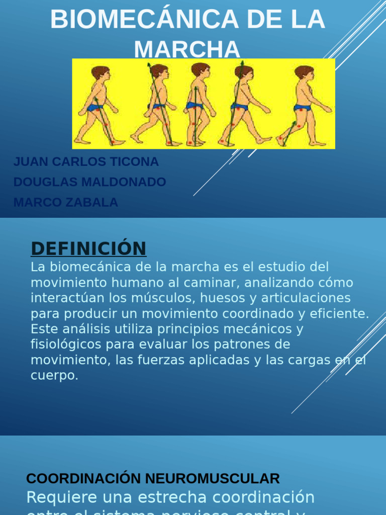 Biomecánica de La Marcha Diapositivas | PDF | Pie | Rodilla