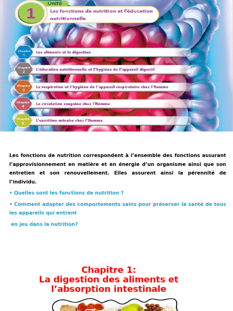 Fonctions de nutrition et digestion humaine | PDF | Tractus gastro ...