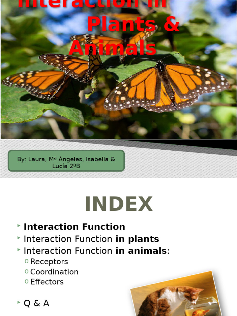 Interaction Plants Animals | PDF | Stimulus (Physiology) | Neuroscience