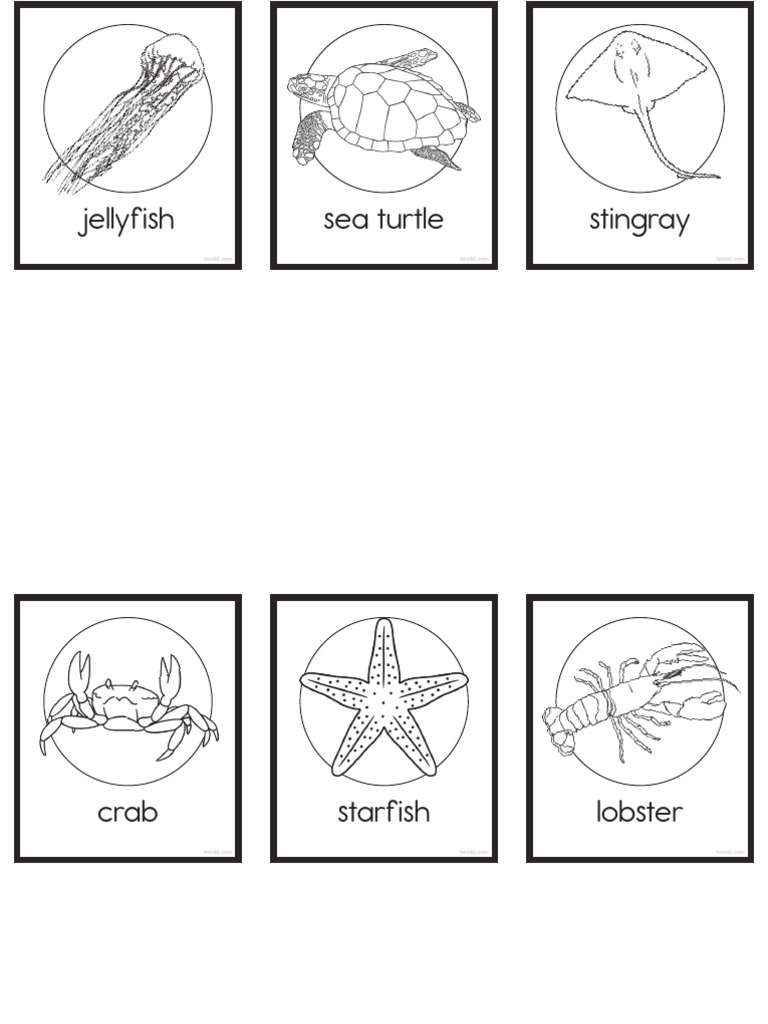 BW Ocean Animal Matching Game | PDF