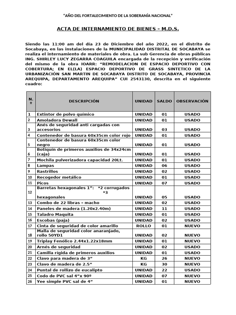Acta de Internamiento MDS | PDF
