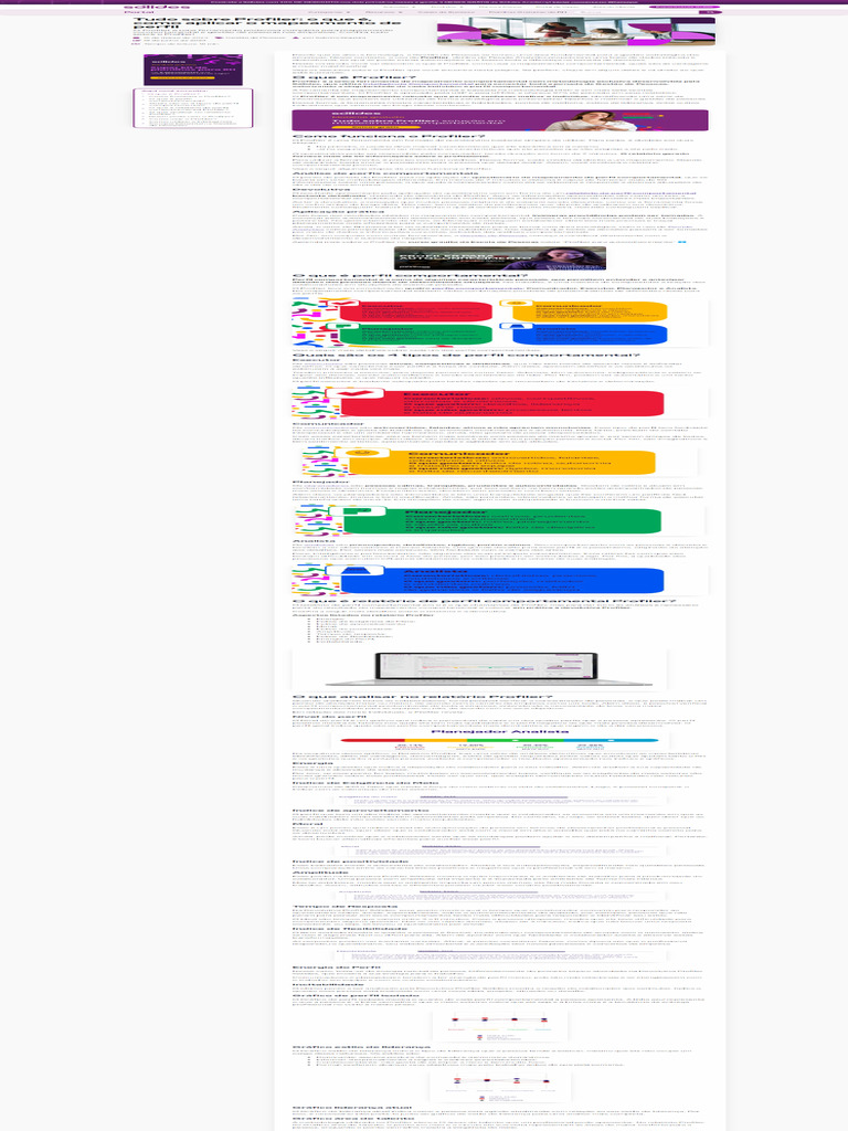 Profiler Tudo Mapeamento de Perfil | PDF