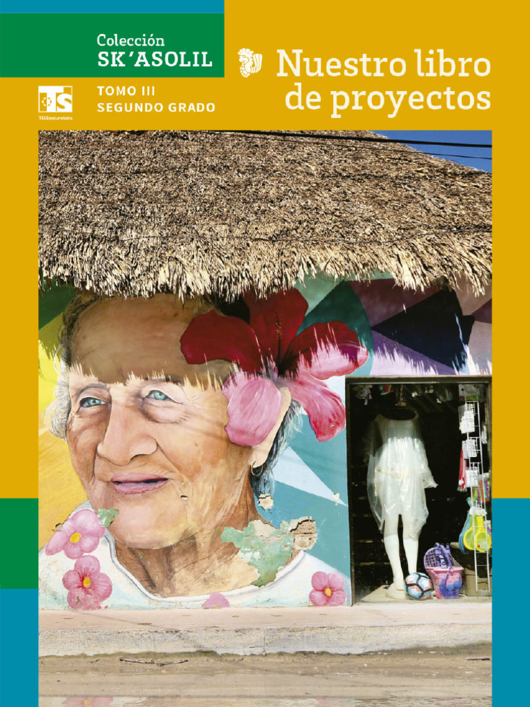 T2 Nuestro Libro de Proyectos Tomo3 LP3 2024 2025 | PDF