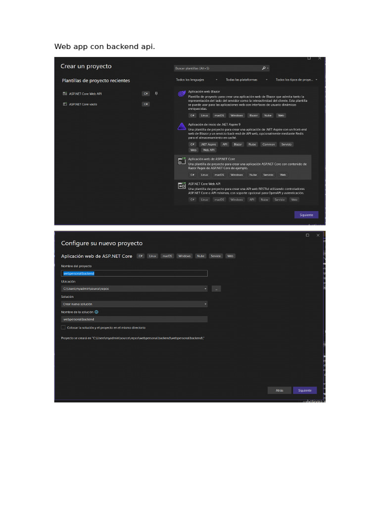 Web App Con Backend API | PDF