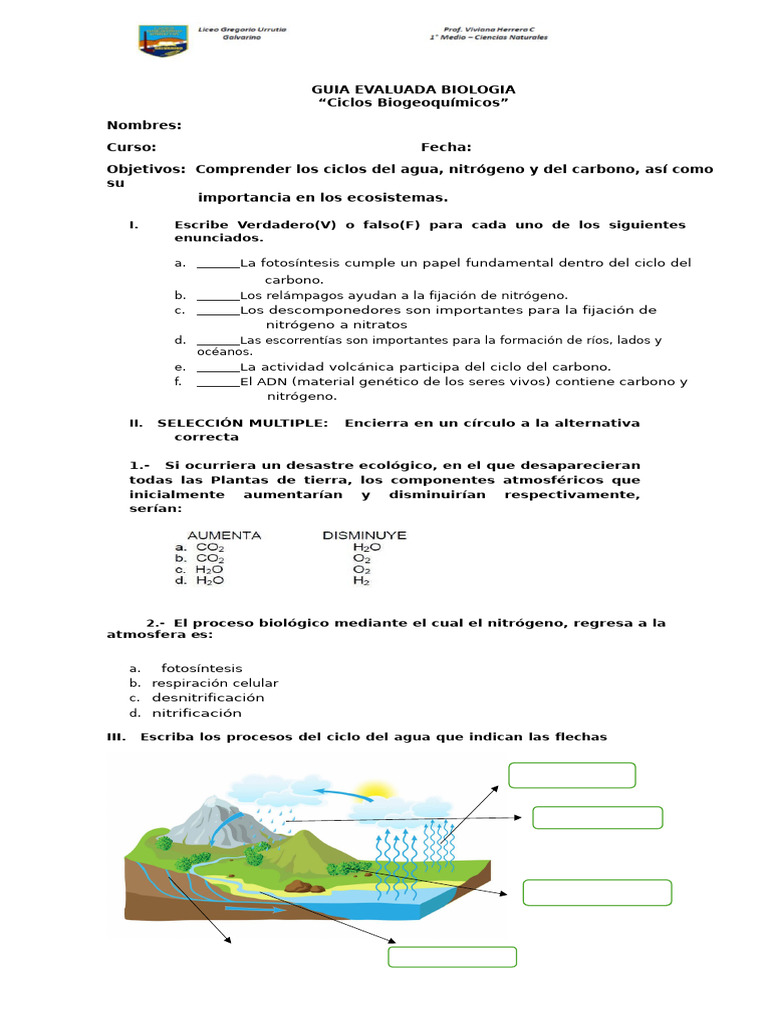 Guia Evaluada Ciclos Bigeoquimicos | PDF