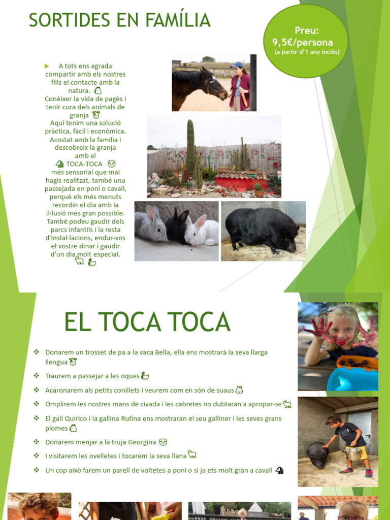 Transparencies Sort Faml | PDF