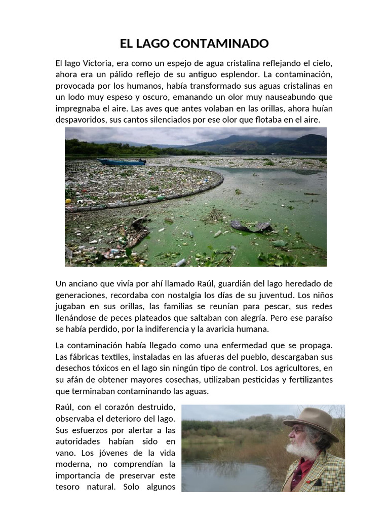 El Lago Contaminado | PDF | Contaminación | Ciencia medioambiental