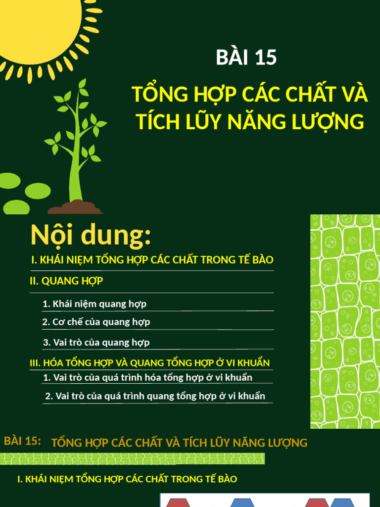 KHBD SGK Sh10 Bai 15 | PDF