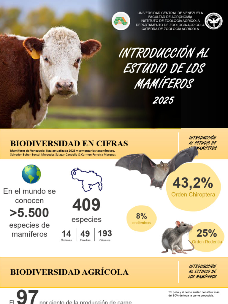 Clase Mamíferos 2025 | PDF | Digestión | Esqueleto