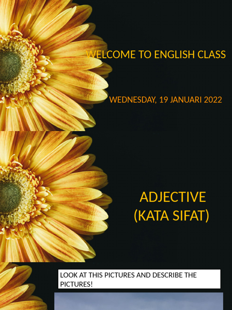 Adjective Lesson Overview for Students | PDF