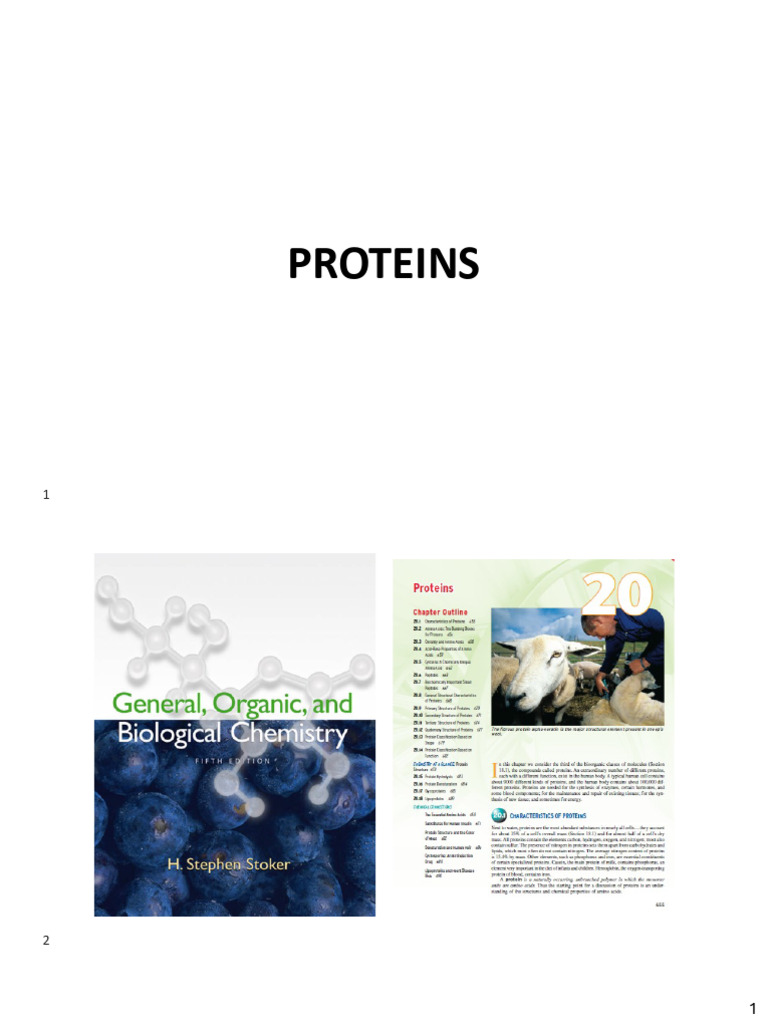 15.intro To Proteins | PDF | Proteins | Molecular Biology