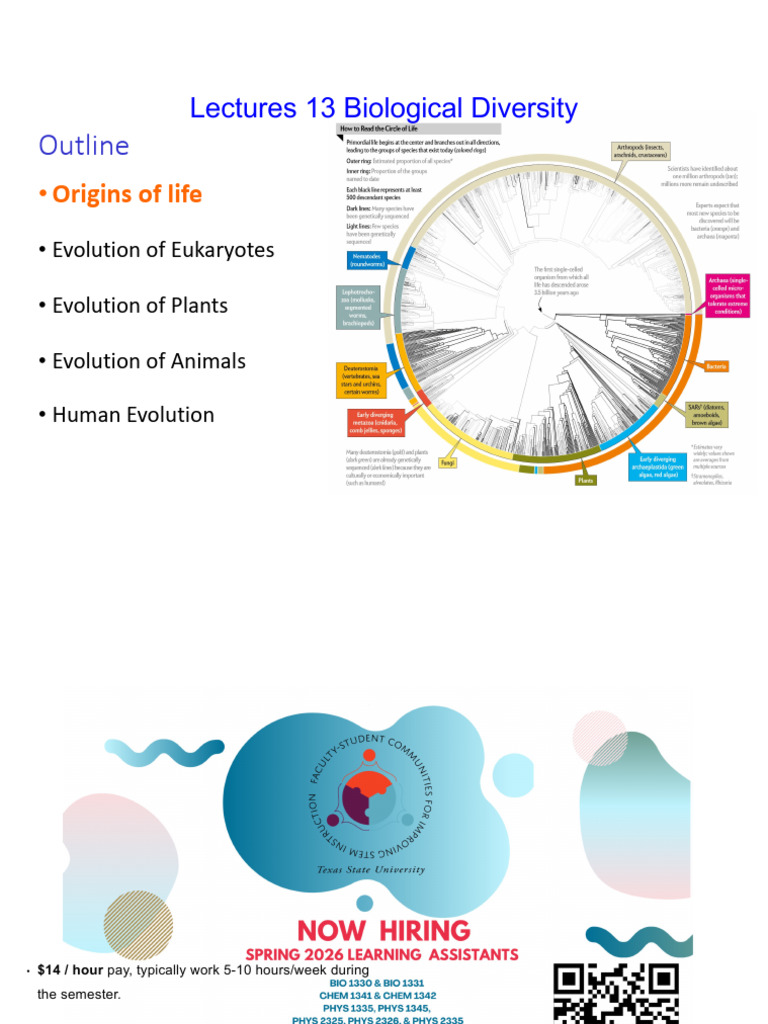 Bio 1331 Lect 13 Diversity of Life | PDF | Archaea | Organisms