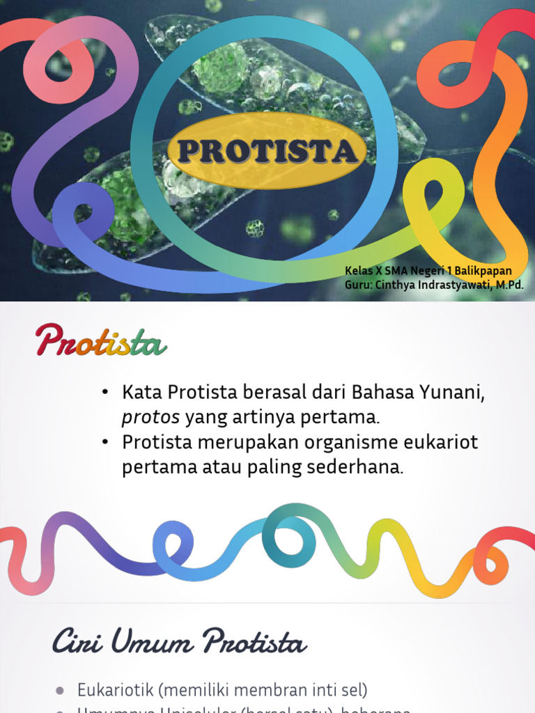 Protista 1 | PDF