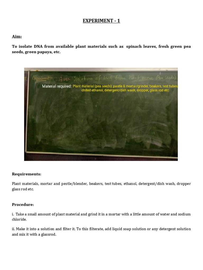 12 Bio - Experiment-1 - Isolation of DNA From Plant Material | PDF
