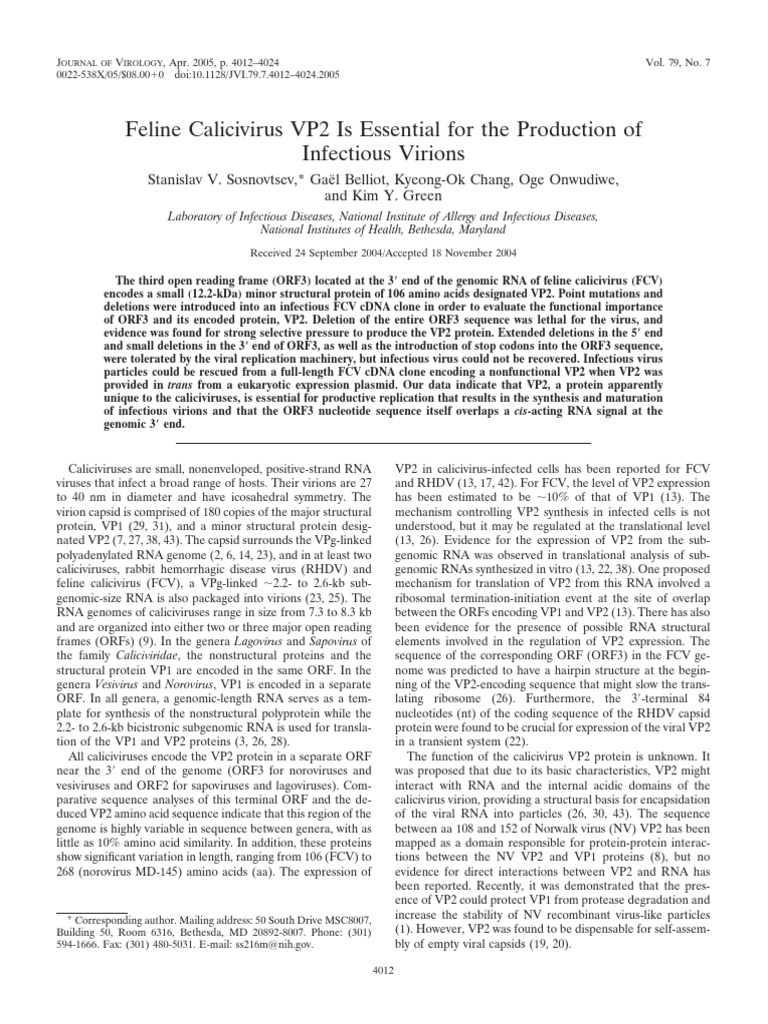 Sosnovtsev Et Al 2005 Feline Calicivirus Vp2 is Essential for the ...