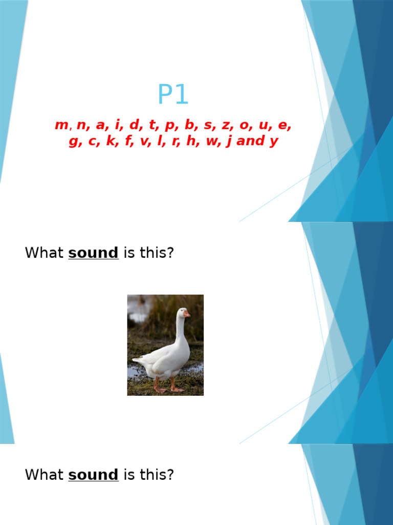 12 - M, N, A, I, D, T, P, B, S, Z, O, U, E, G, C, K, F, V, L, R, H, W ...