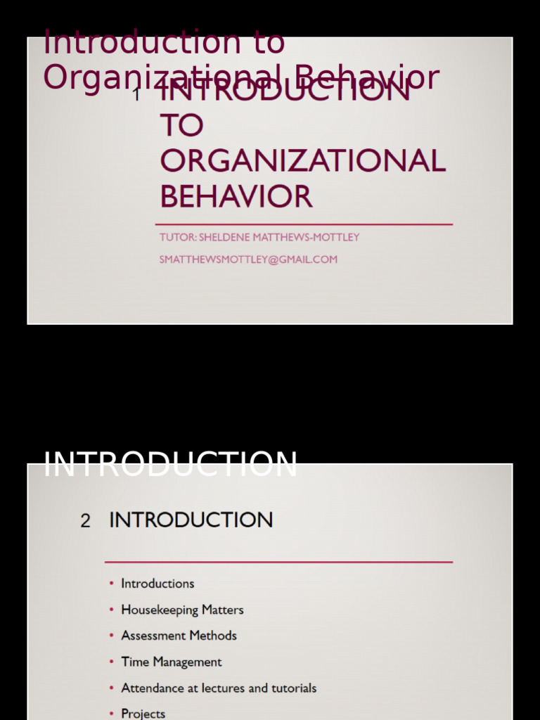 Introduction To Organizational Behaviour | PDF