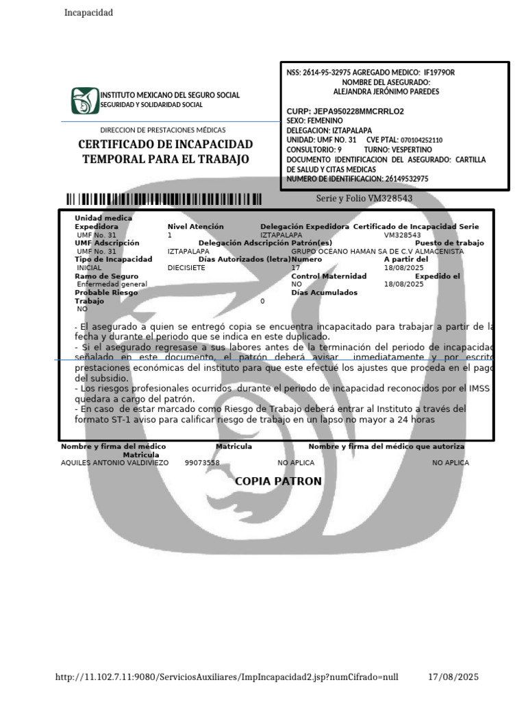 Incapacidad Imss Editable | PDF