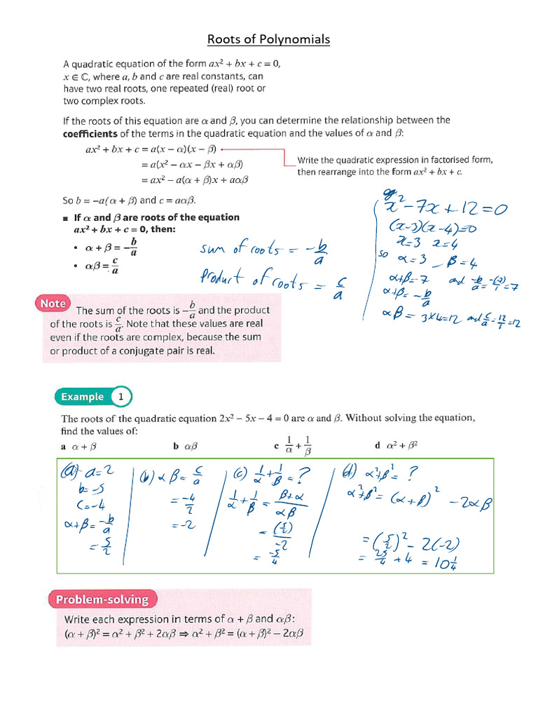 2 Roots of Polynomials TEACHERS Notes | PDF