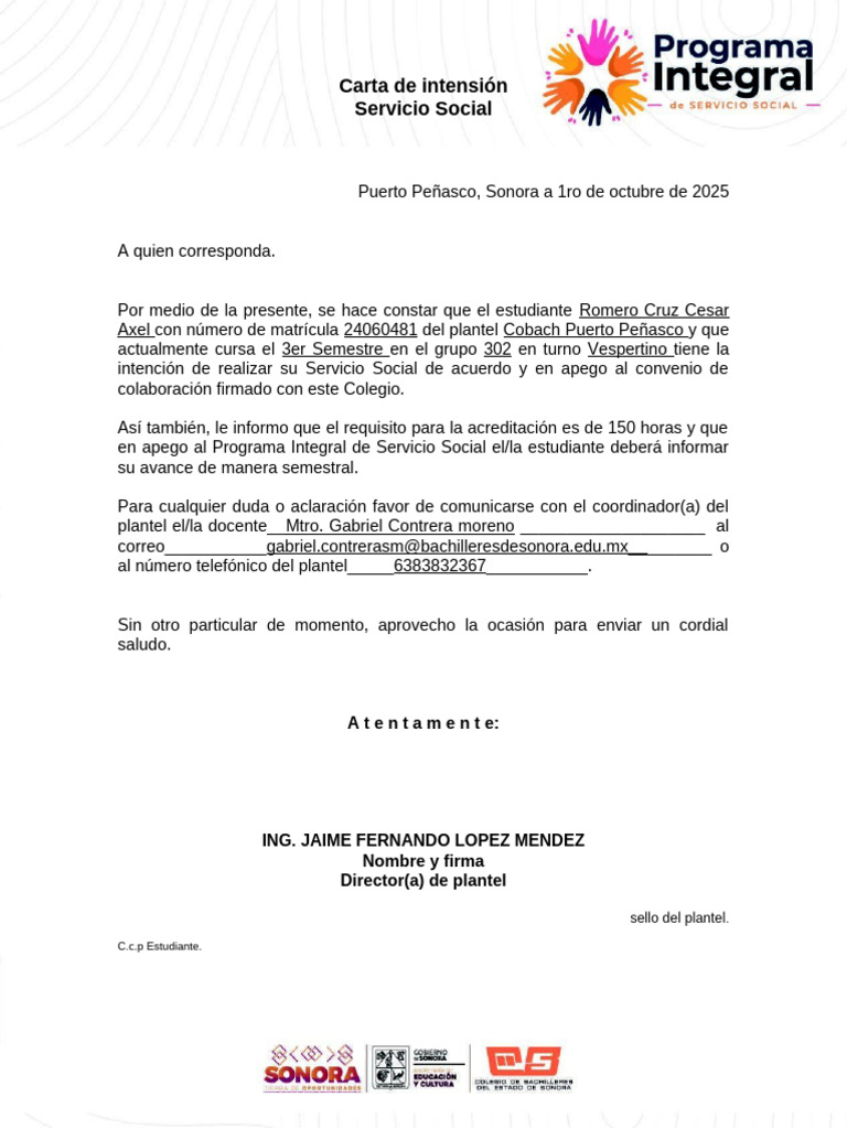 Carta de Intención para Servicio Social | PDF