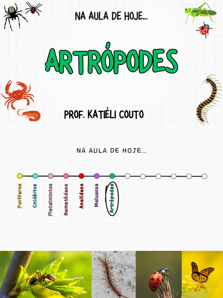 Características dos Artrópodes | PDF | Insetos | Crustáceo