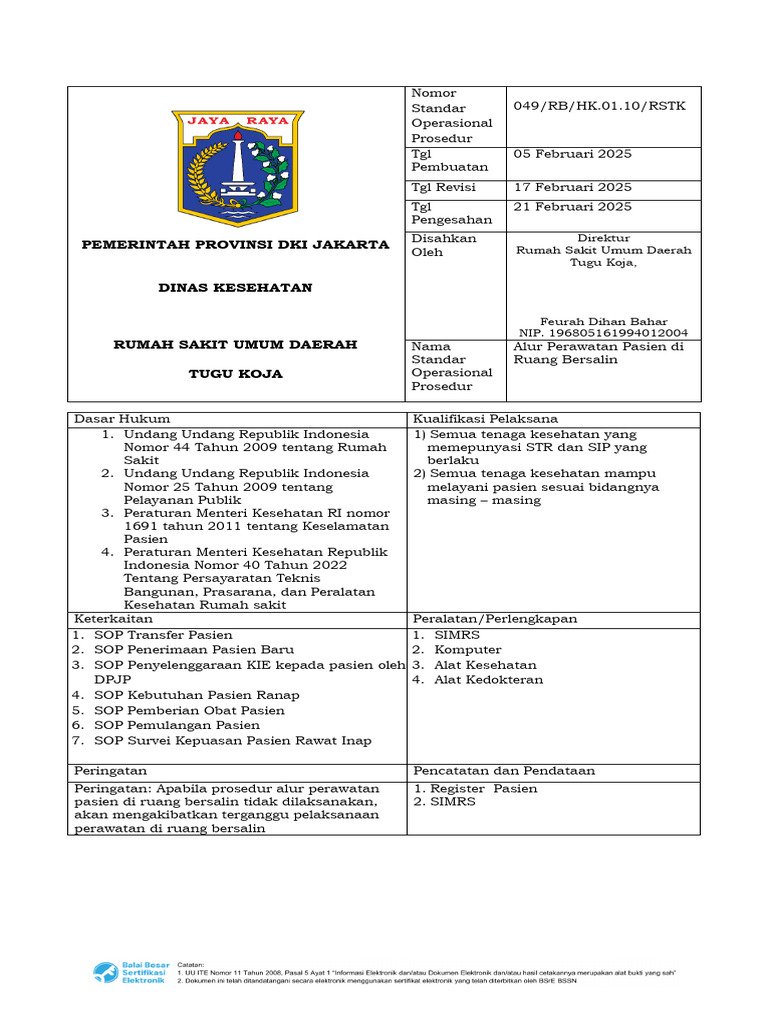 Spo Alur Perawatan Pasien Di RB Logo Revisi 1 (2) 1 | PDF