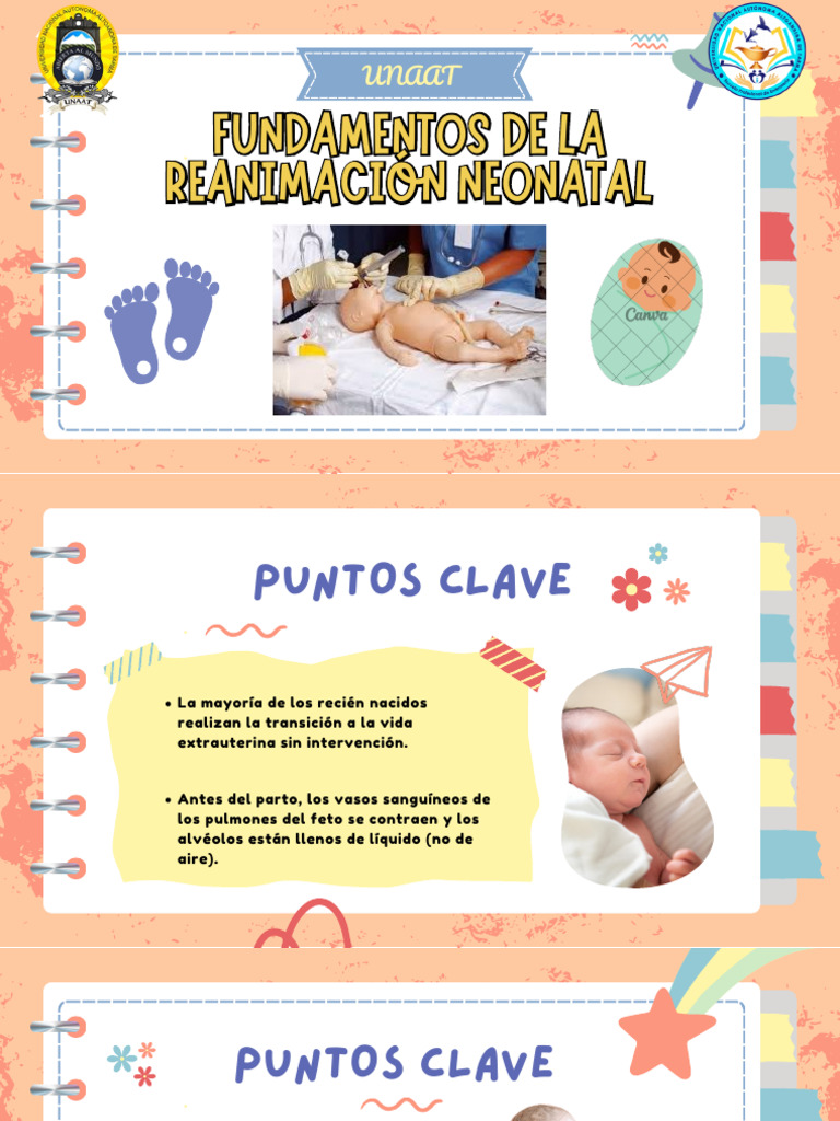 RCP Neonatal - Expos | PDF | Feto | Reanimación cardiopulmonar