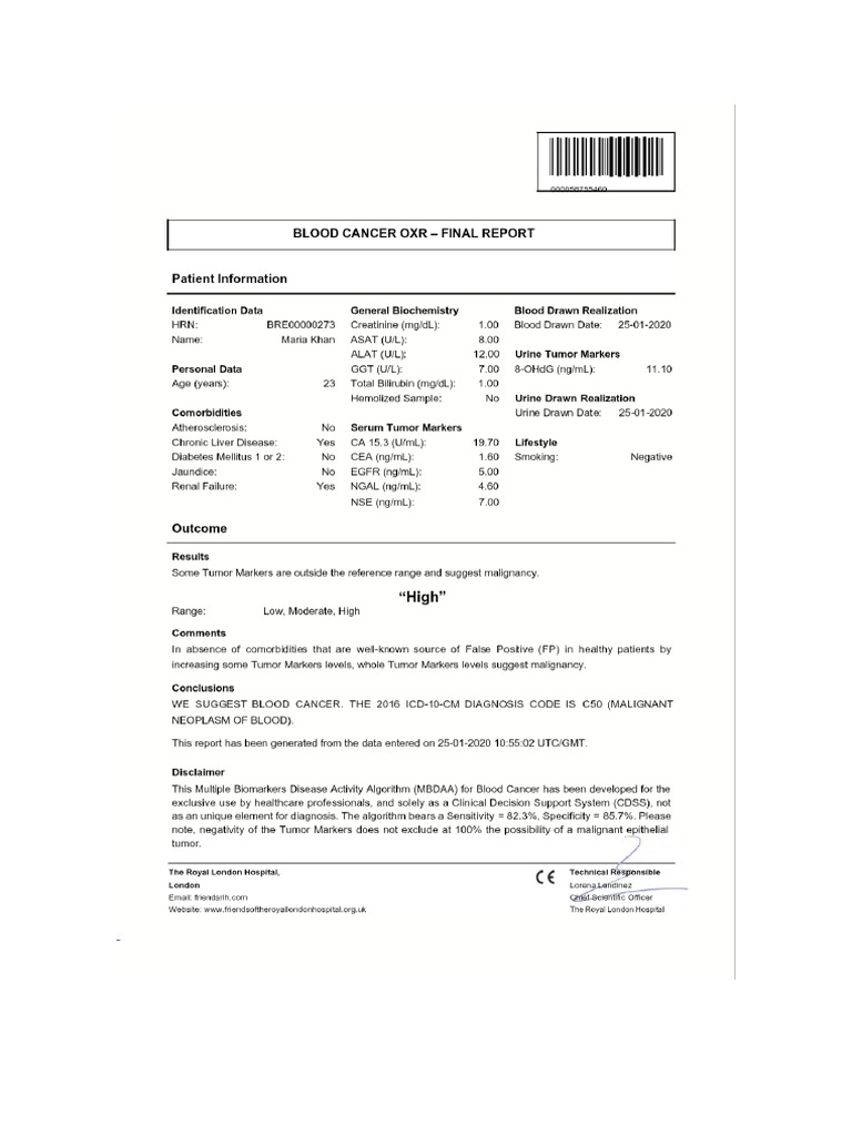 Blood Cancer Report | PDF