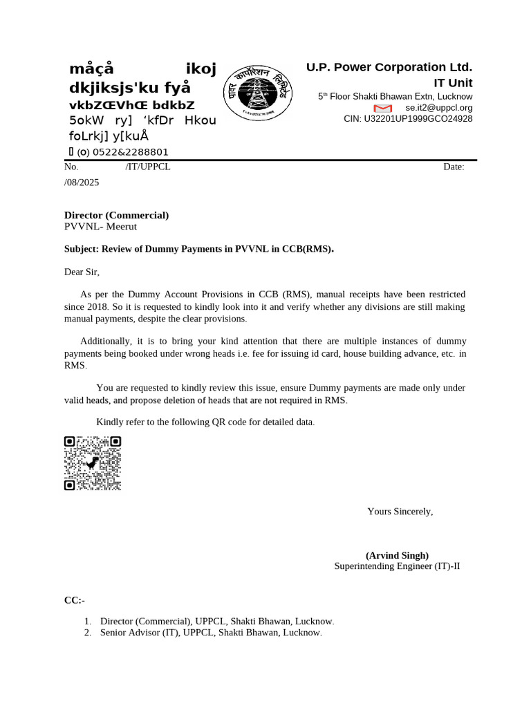 Review of Dummy Payments in PVVNL Formated | PDF
