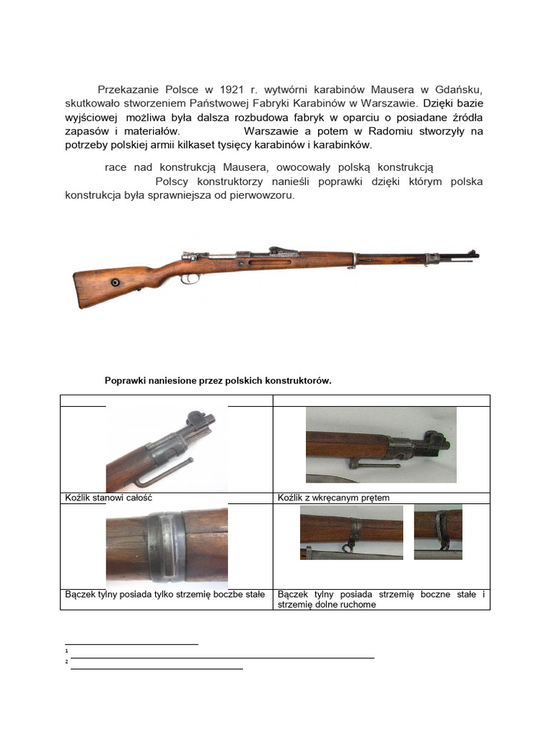 Mauser Wz.29 | PDF