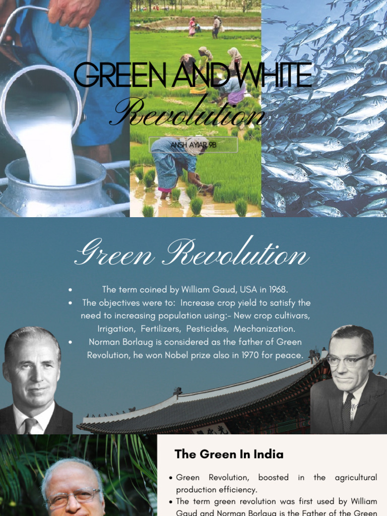 Green and White Revolution - Ansh Ayiar 9B | PDF | Green Revolution ...