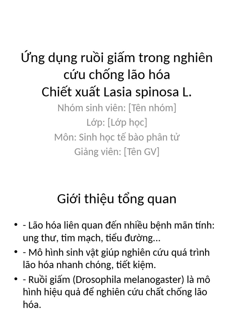 Bao Cao Ruoi Giam Lasia | PDF