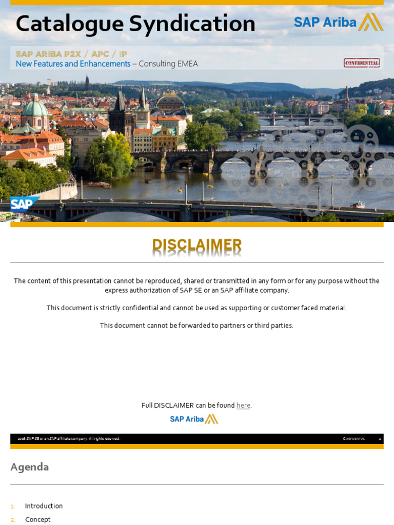 SAP Ariba Catalogue Syndication Guide | PDF | Computing