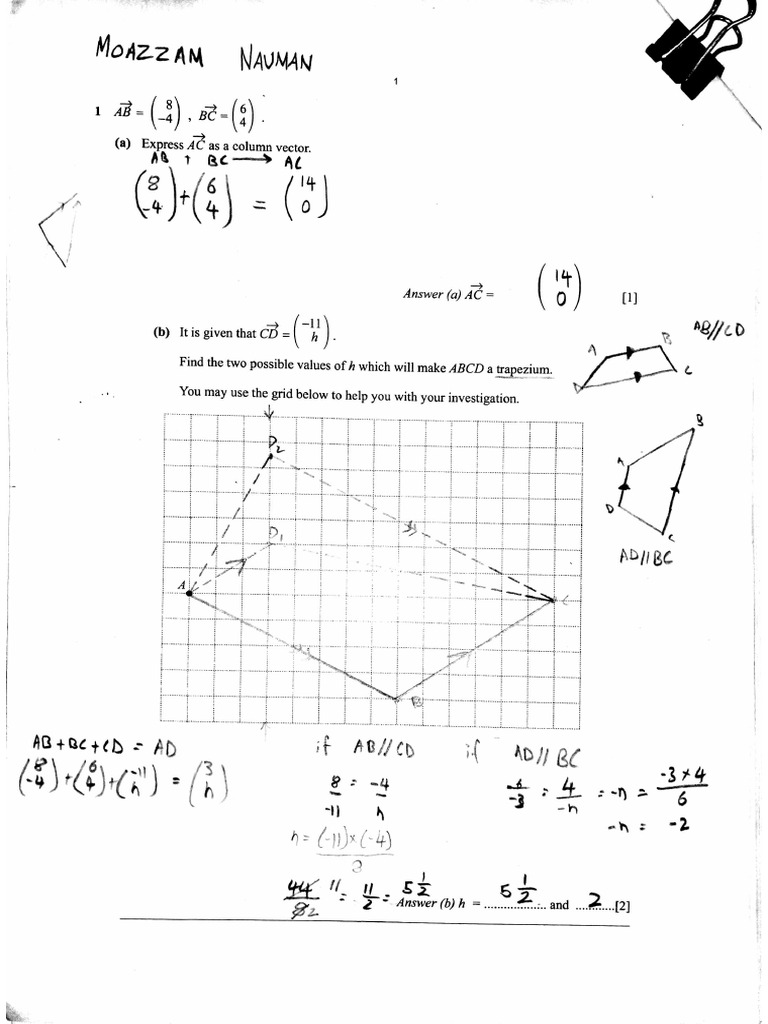 Moazzam Vectors WS P1 | PDF