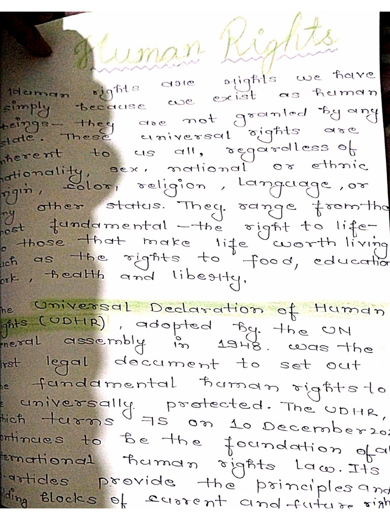 Human Rights 8 | PDF