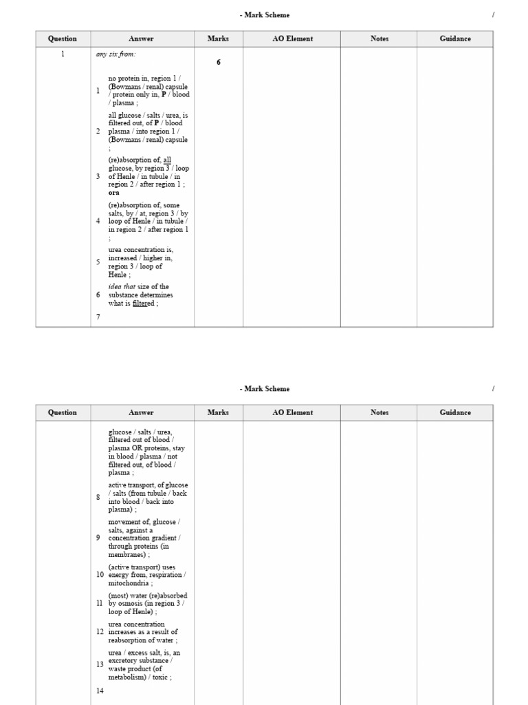 Year 11 Excretion in Humans (Worksheet 1) - MS | PDF | Kidney | Urine