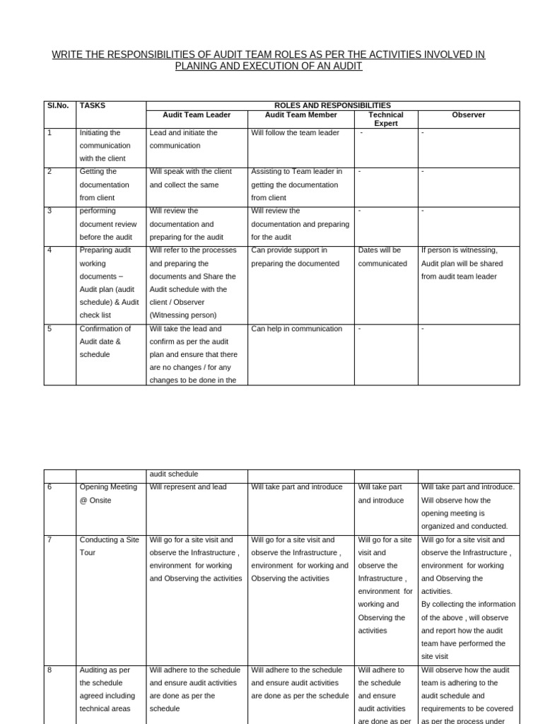 Audit Team Roles and Responsibilities | PDF | Audit