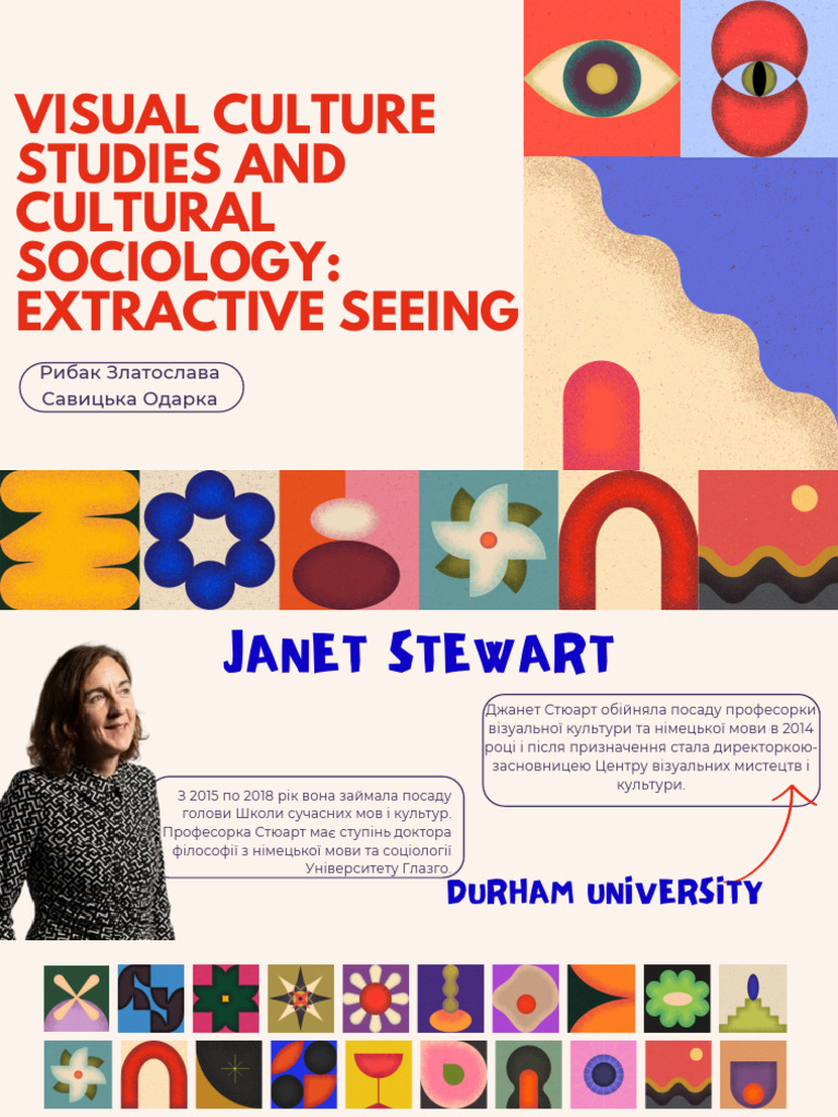 Visual Culture Studies and Cultural Sociology Extractive Seeing | PDF