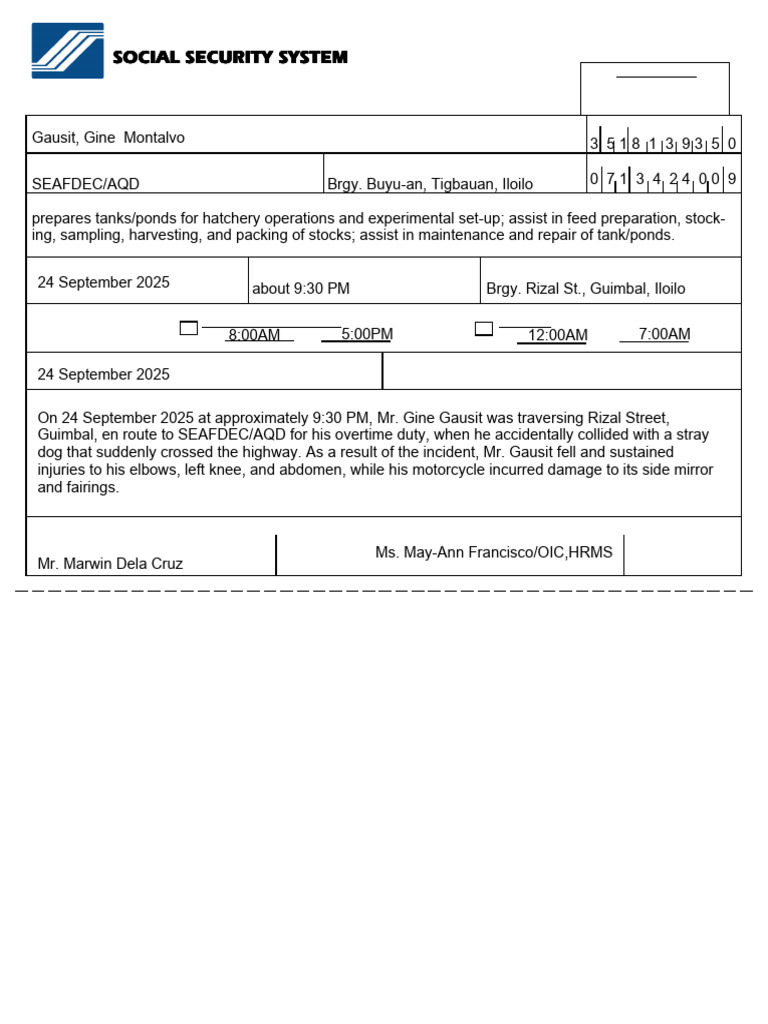 EC Accident - Sickness Report | PDF