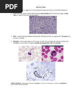 Pathoma Notes CH 1 3 PDF | PDF | T Helper Cell | Cytotoxic T Cell