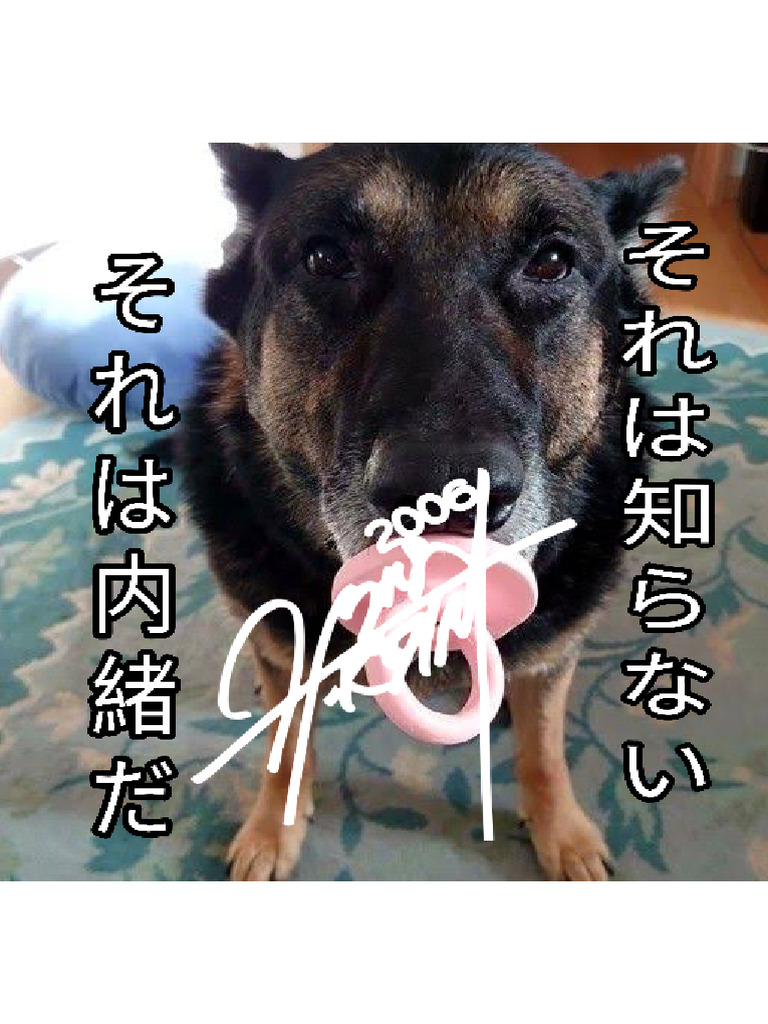 Dogs Logic | PDF