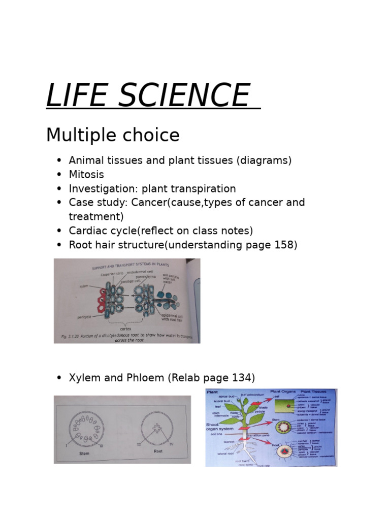 Life Science Scope 10A | PDF