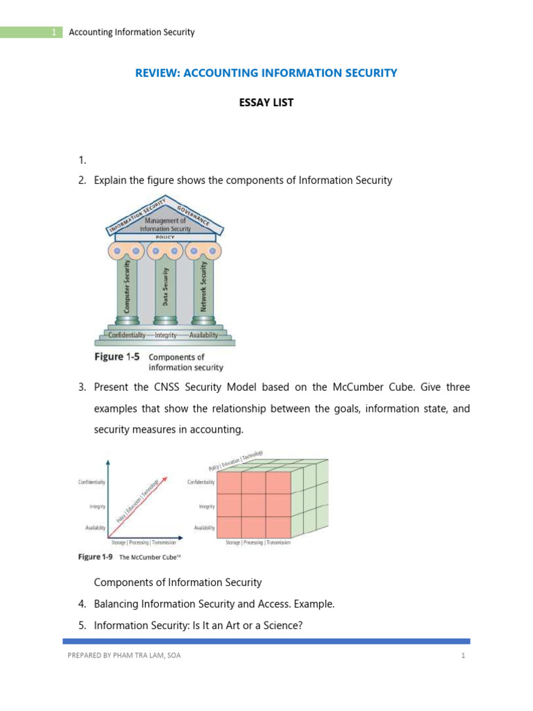 Accounting Information Security Overview | PDF