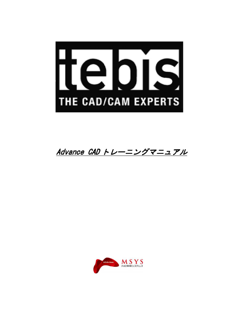 01 Advance Cad | PDF