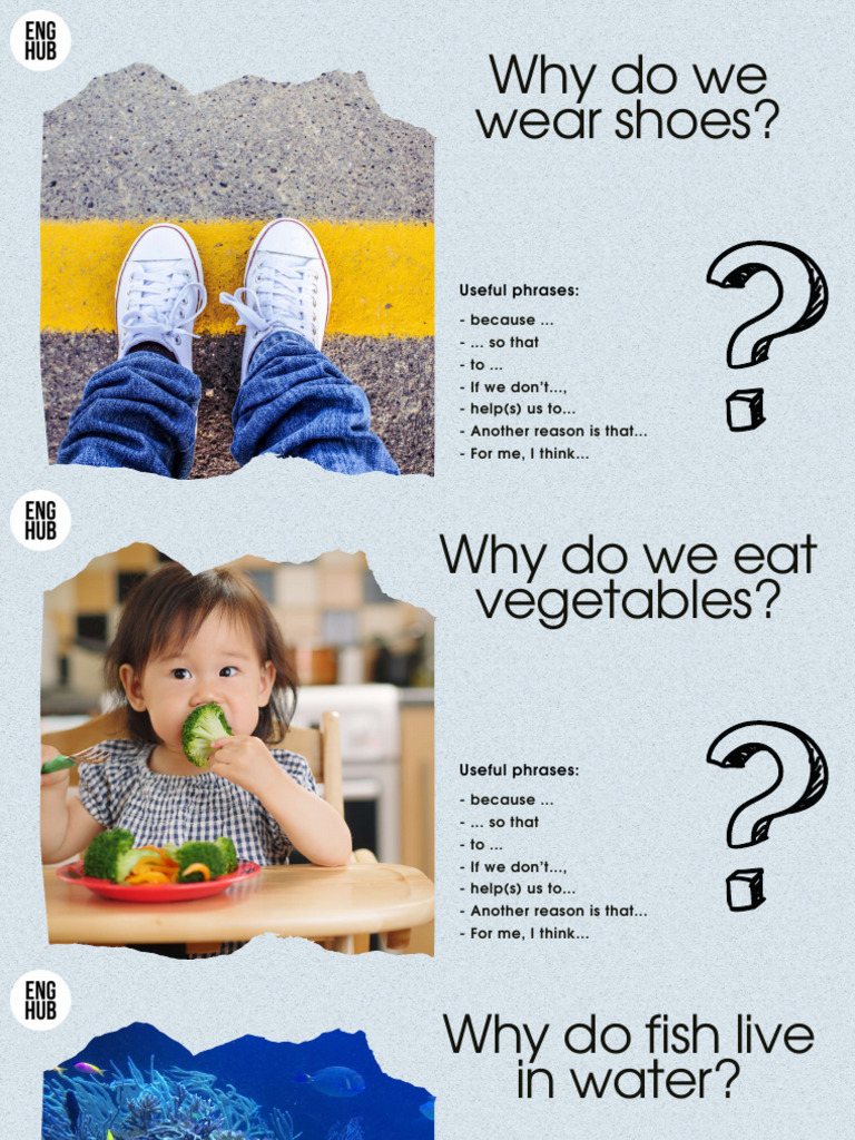Reasons Behind Everyday Questions | PDF