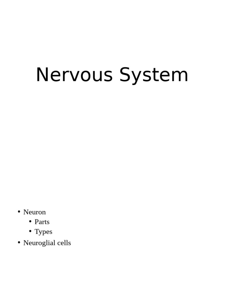 Overview of the Human Nervous System | PDF | Cerebrospinal Fluid ...